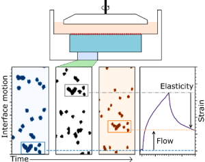 Contactless interfacial rheology to measure liquid-liquid interfaces ...